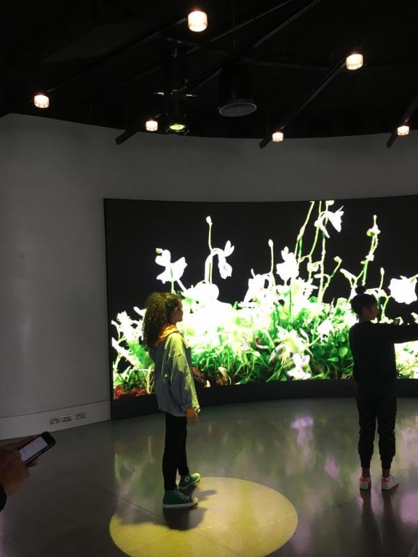 Audio Spotlight Technology Delivers the Story of Nature in The Spheres ...