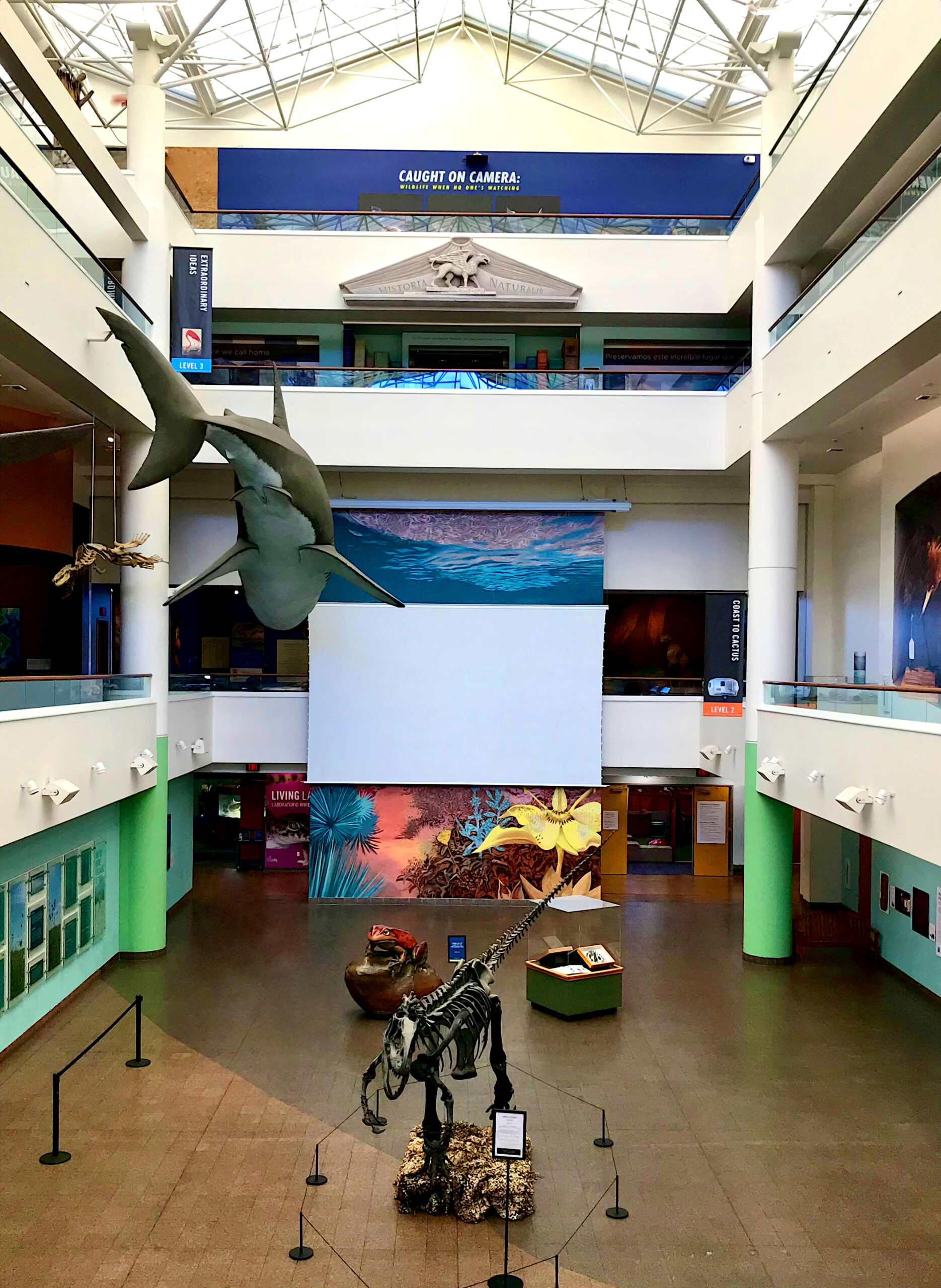 San Diego Natural History Museum Finds a Gem with Severtson Screens - Sound & Video Contractor