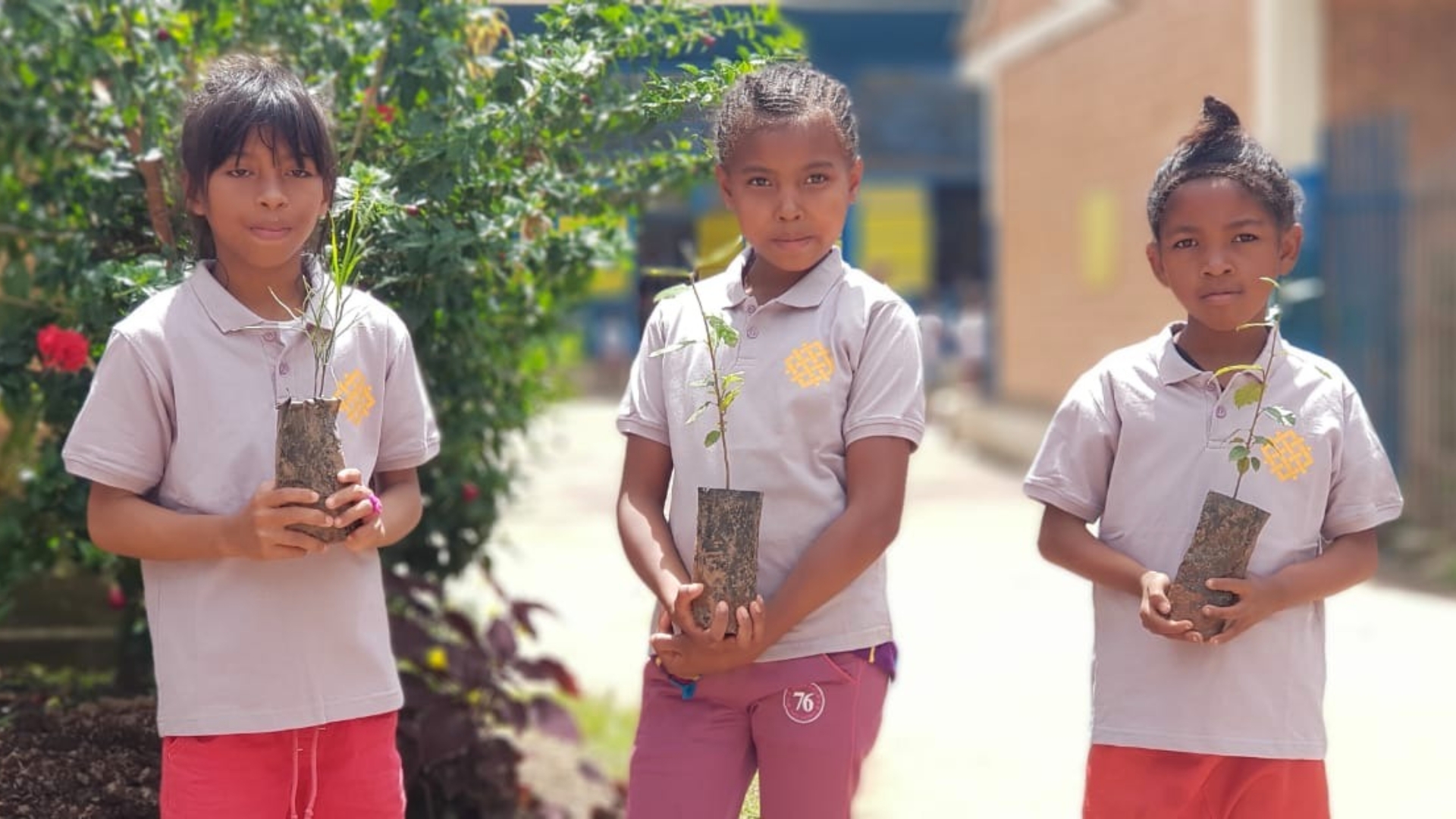 Prysm Partners with One Tree Planted to Promote Reforestation at ...